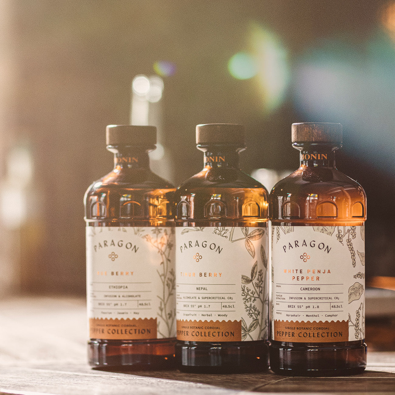 The story of Paragon